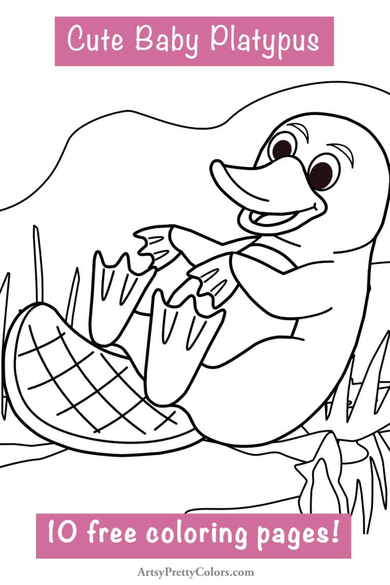 10 Free Baby Platypus Coloring Pages - Artsy Pretty Colors