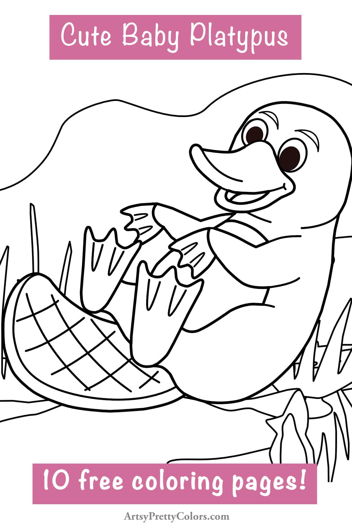10 Free Baby Platypus Coloring Pages - Artsy Pretty Colors