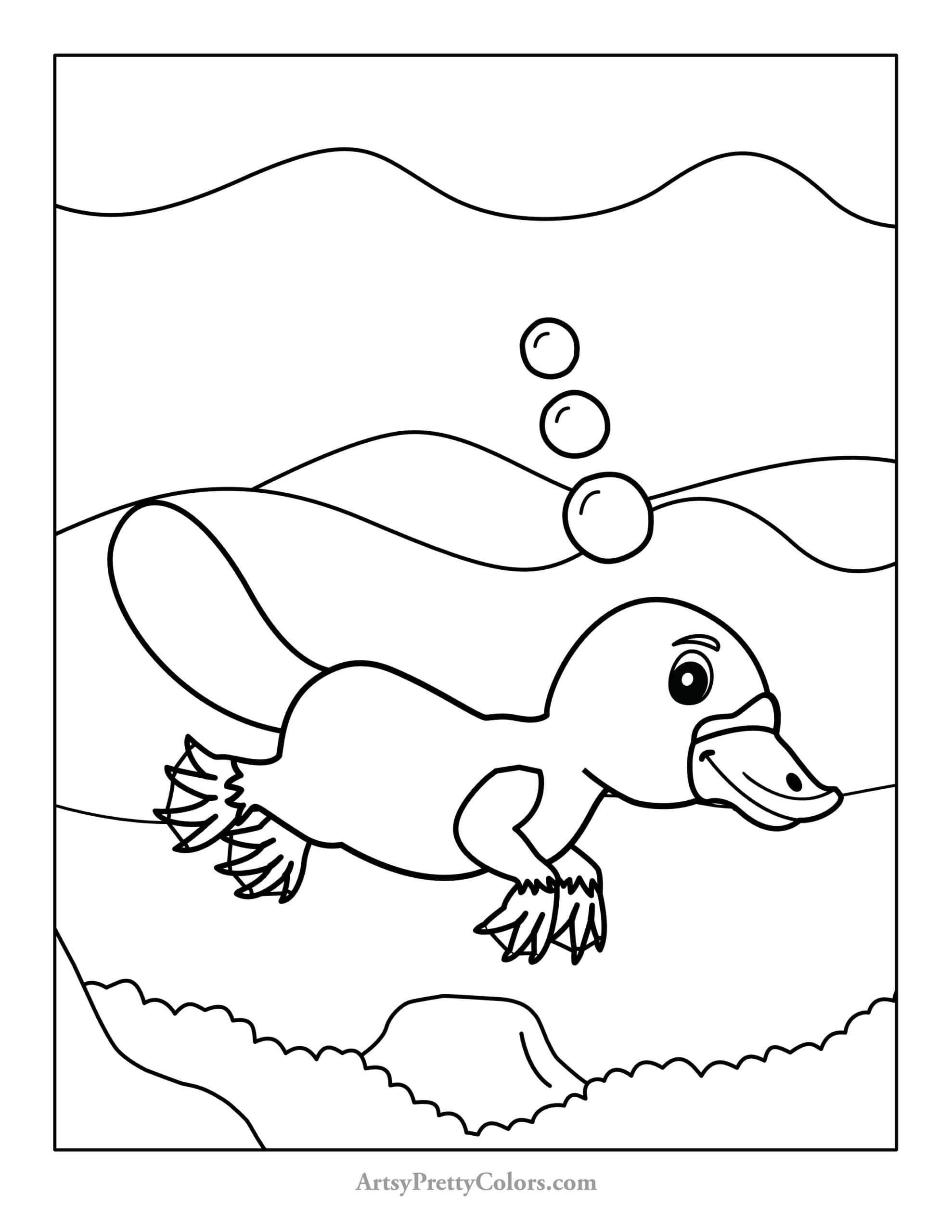 10 Free Baby Platypus Coloring Pages - Artsy Pretty Colors