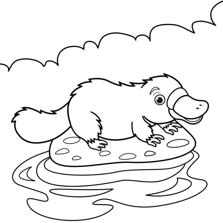 10 Free Baby Platypus Coloring Pages - Artsy Pretty Colors
