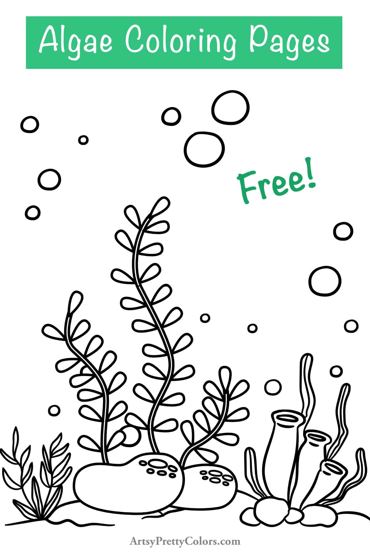 Free Algae Coloring Pages (Aquatic Plant PDFs) - Artsy Pretty Colors